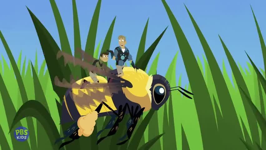 Wild Kratts Season 7 Episode 10 Salamander Streaming | Watch cartoons ...